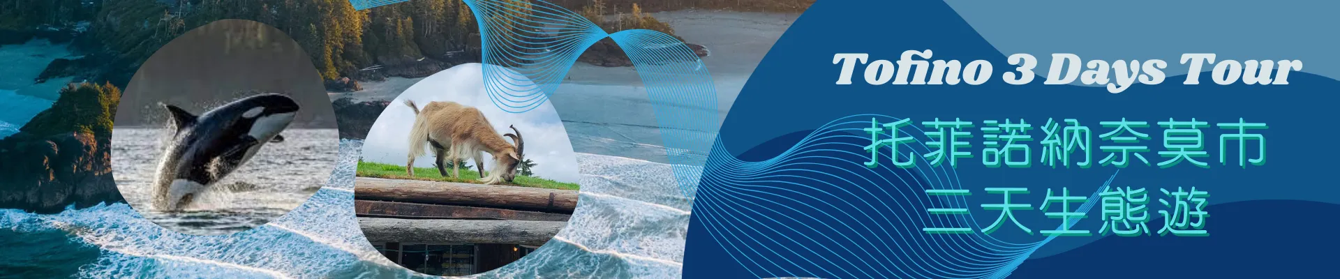 First Express Travel